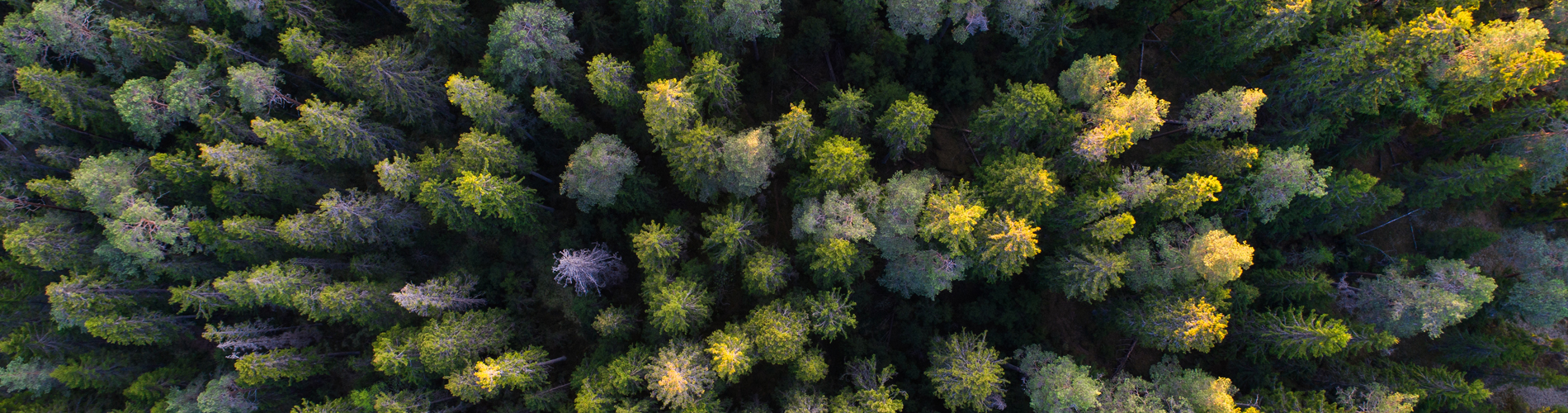 Outdoor Sports Valley | Apéritif Réseau OSV à Thônes le 9 juillet